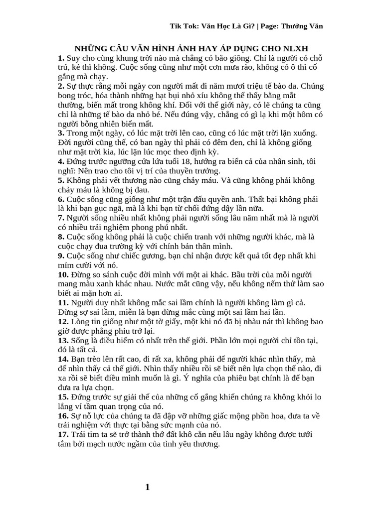 NH NG Câu Văn Hình NH Hay Áp D NG Cho NLXH | PDF