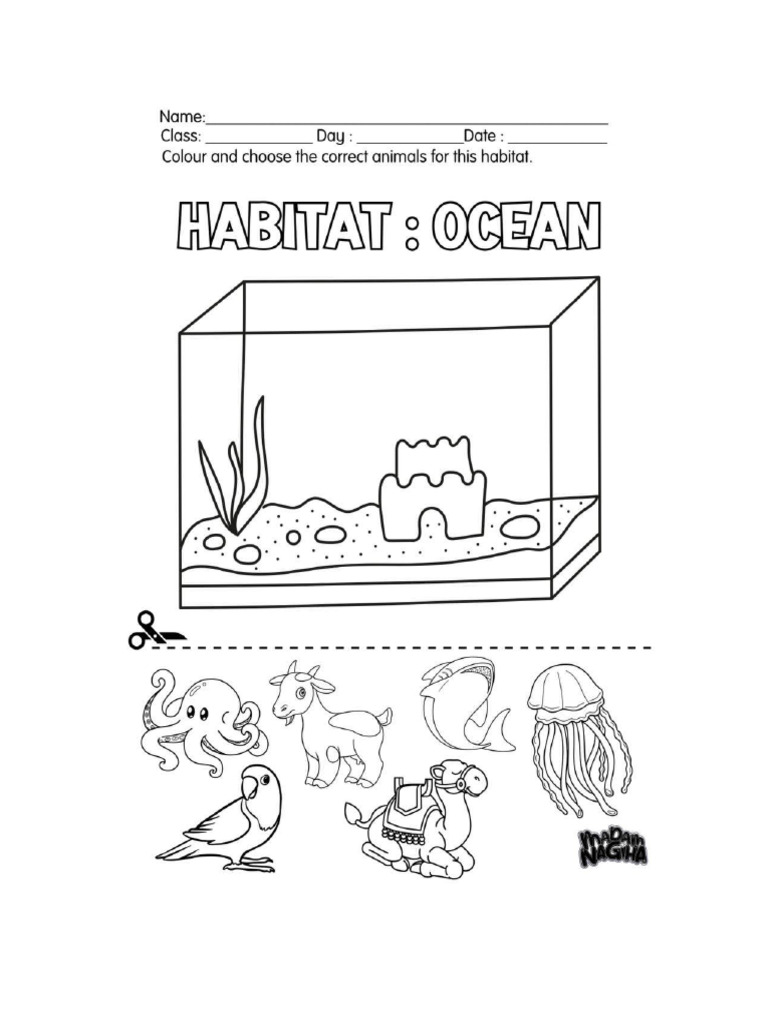 Year 2 Unit 6 The Old House | PDF