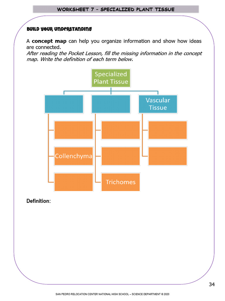WS 7 Specialized Plant Tissue | PDF
