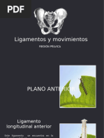 Nutación y Contranutación en la Pelvis | PDF | Pelvis | Sistema esquelético