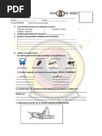 Abecedario de Insectos: A a Z | PDF