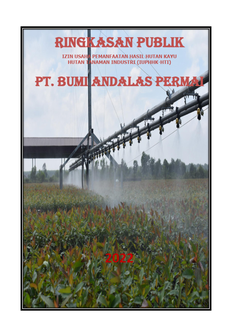 Ringkasan Publik Pt. Bap 2022 | PDF