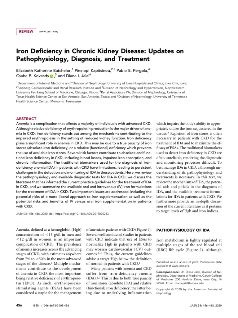 Iron Deficiency in Chronic Kidney Disease - Updates On Pathophysiology ...