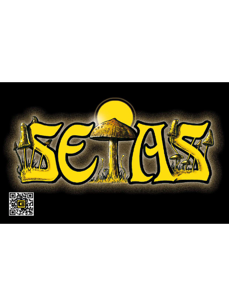 Setas | PDF