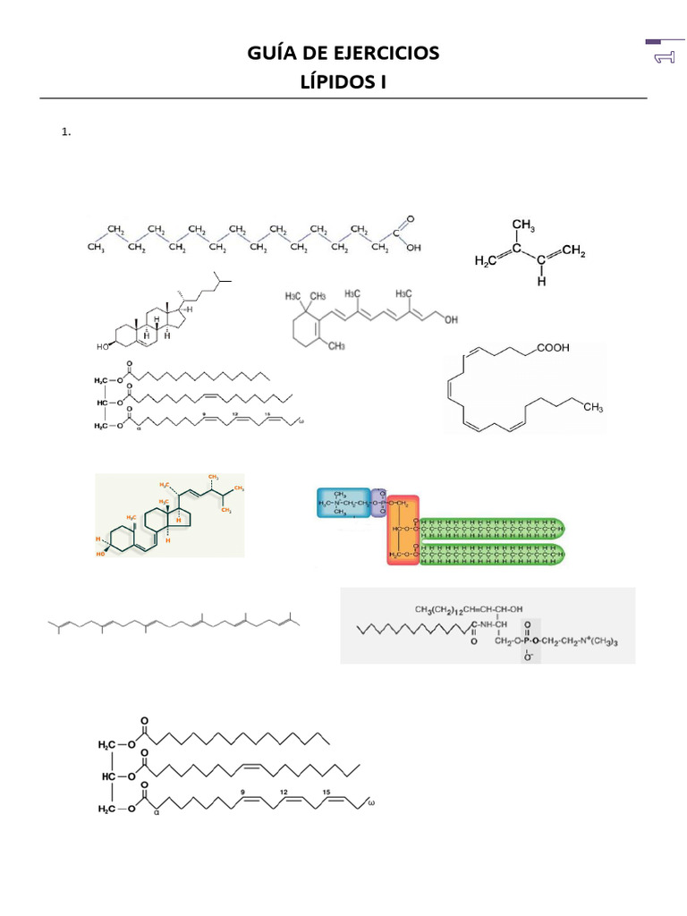 Guia Lipidos 1 | PDF | Ácido graso | Lípido