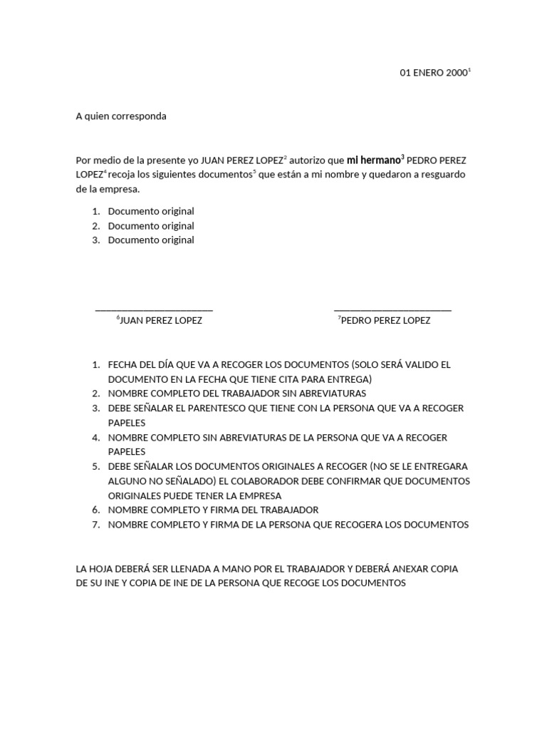 Carta Poder Documentos | PDF