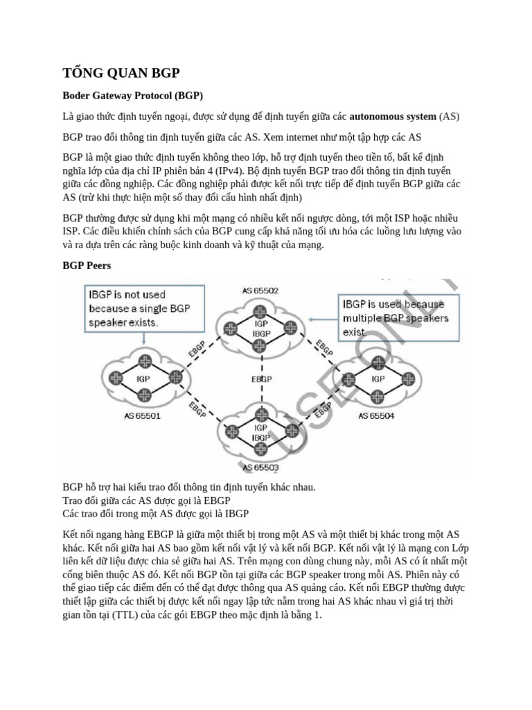 BGP Overview Thao | PDF
