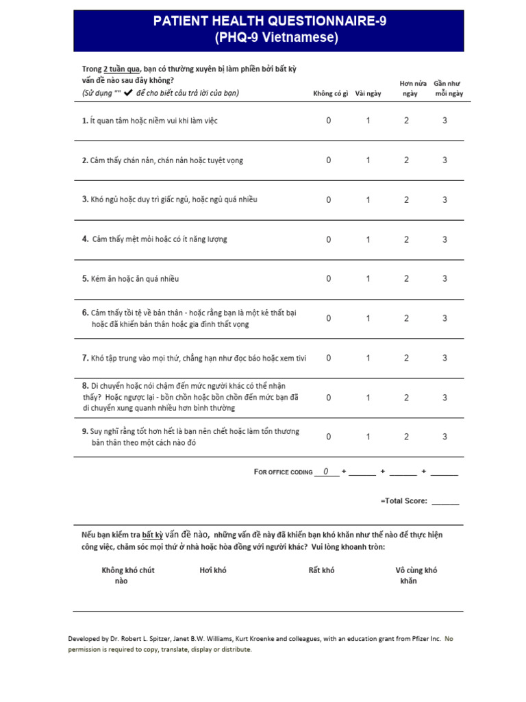 PHQ 9 Vietnamese | PDF