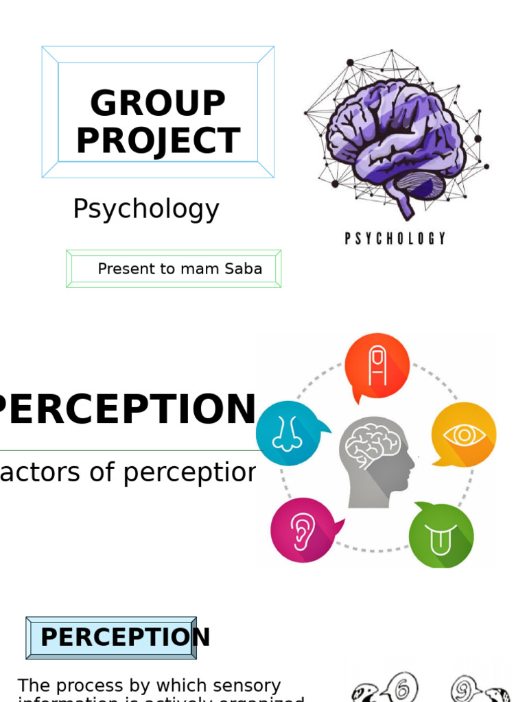 Perception Subjective Factors Pdf Perception Bias