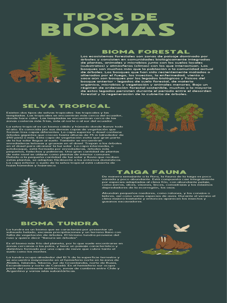 Dark Green Brown Illustrative Geography Biomes Infographic - 20241002 ...