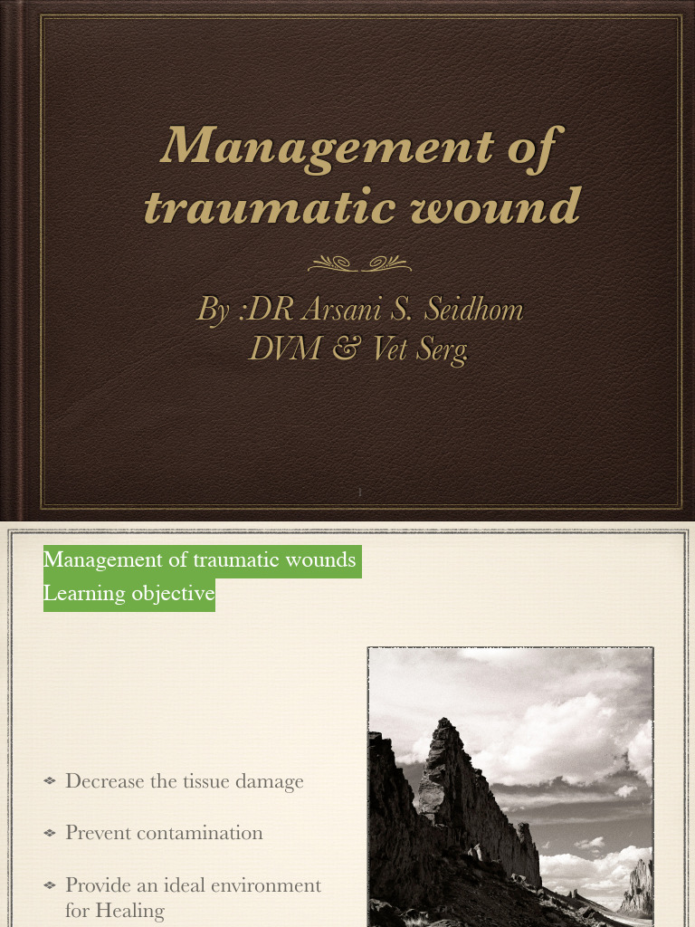 Arsani Presentation | PDF | Wound | Wound Healing