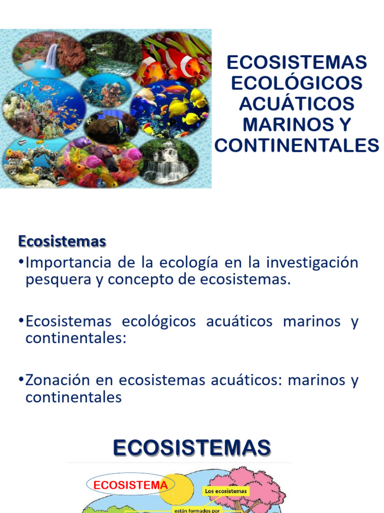 Clase 2. Ecosistemas Marinos y de Agua Dulce | PDF | Ecosistema acuático | Ecosistema