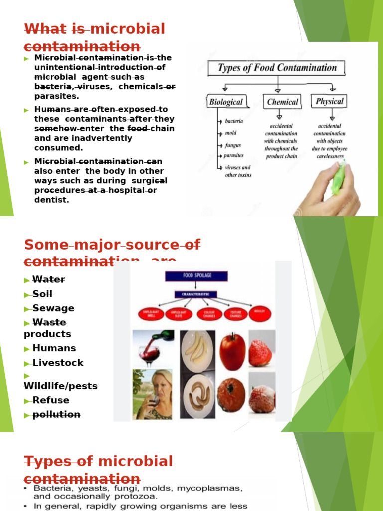 Food Microbial Contamination | PDF | Microorganism | Decomposition