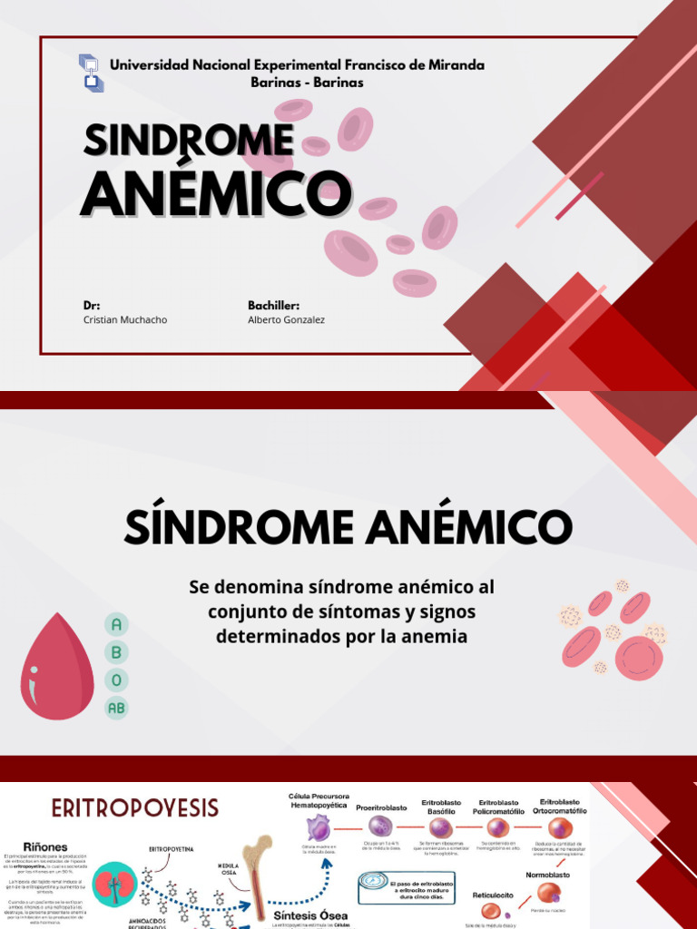 Sindrome Anemico Definitivo | PDF | Anemia | Glóbulo rojo
