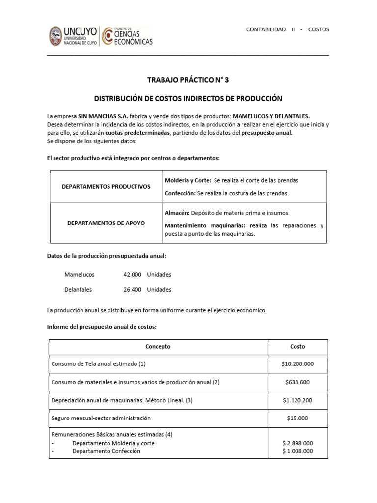 TP N°3 - SIN MANCHAS SA - CIP - Alumnos | PDF | Costo | Presupuesto