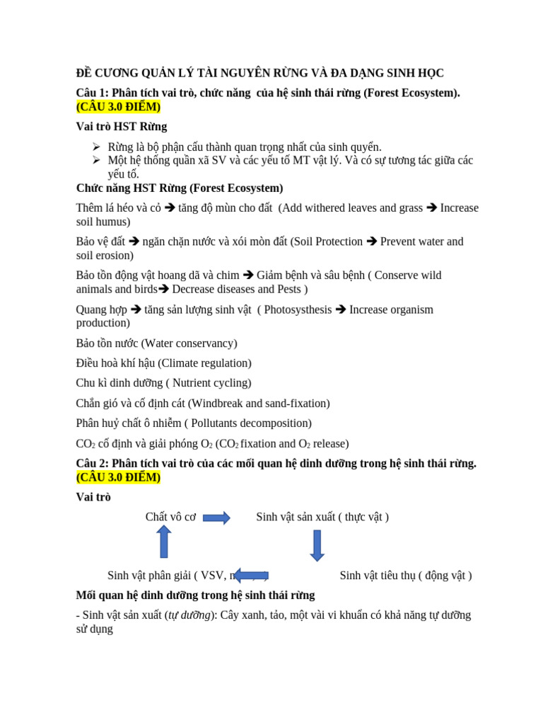 Đề Cương DDSH 07112024 | PDF