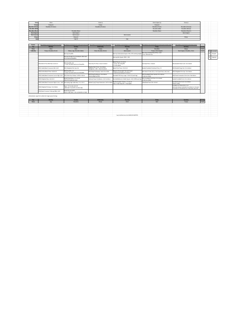 Athlean X Perfect Workout Schedule | PDF | Anatomical Terms Of Motion ...