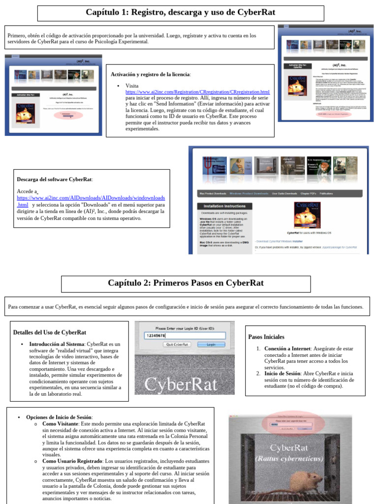 Guía de Registro y Uso de CyberRat | PDF | Botón (Computación) | Internet
