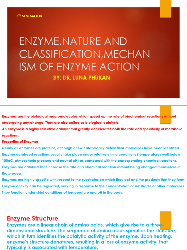 Asma Assignment | PDF | Enzyme | Enzyme Kinetics