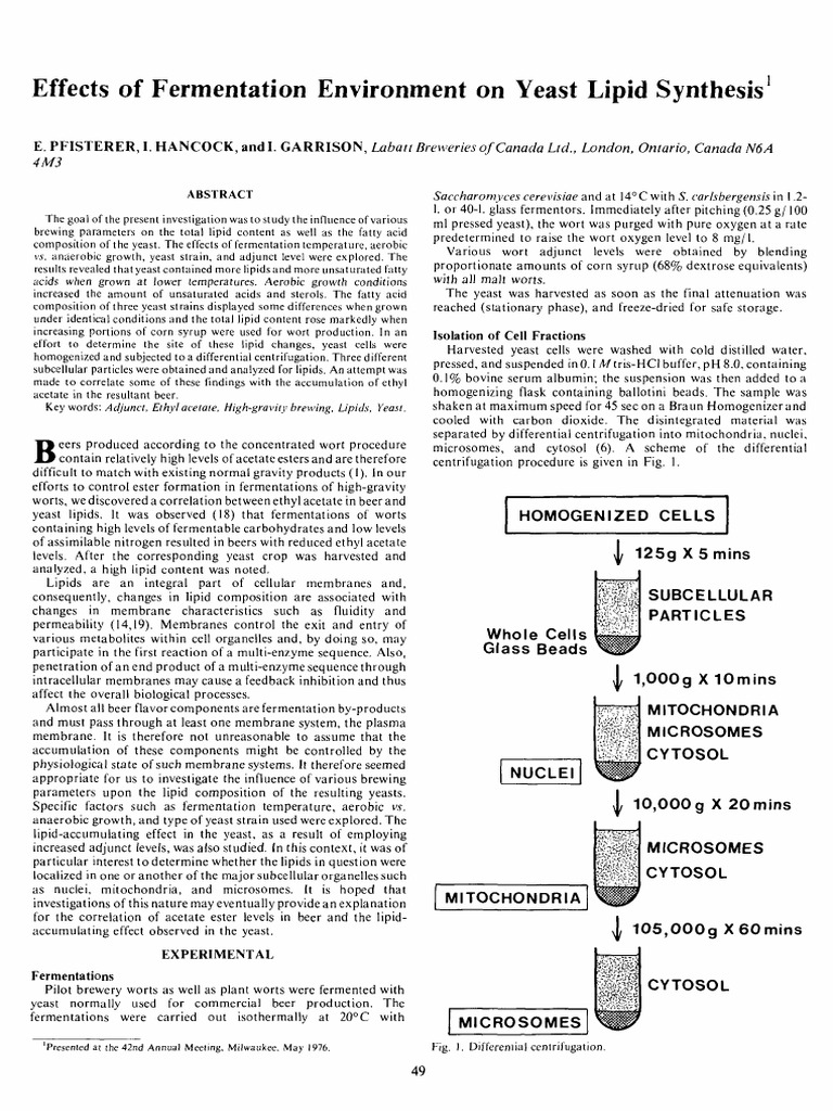 Effects of Fermentation Environment On Yeast Lipid Synthesis | PDF ...