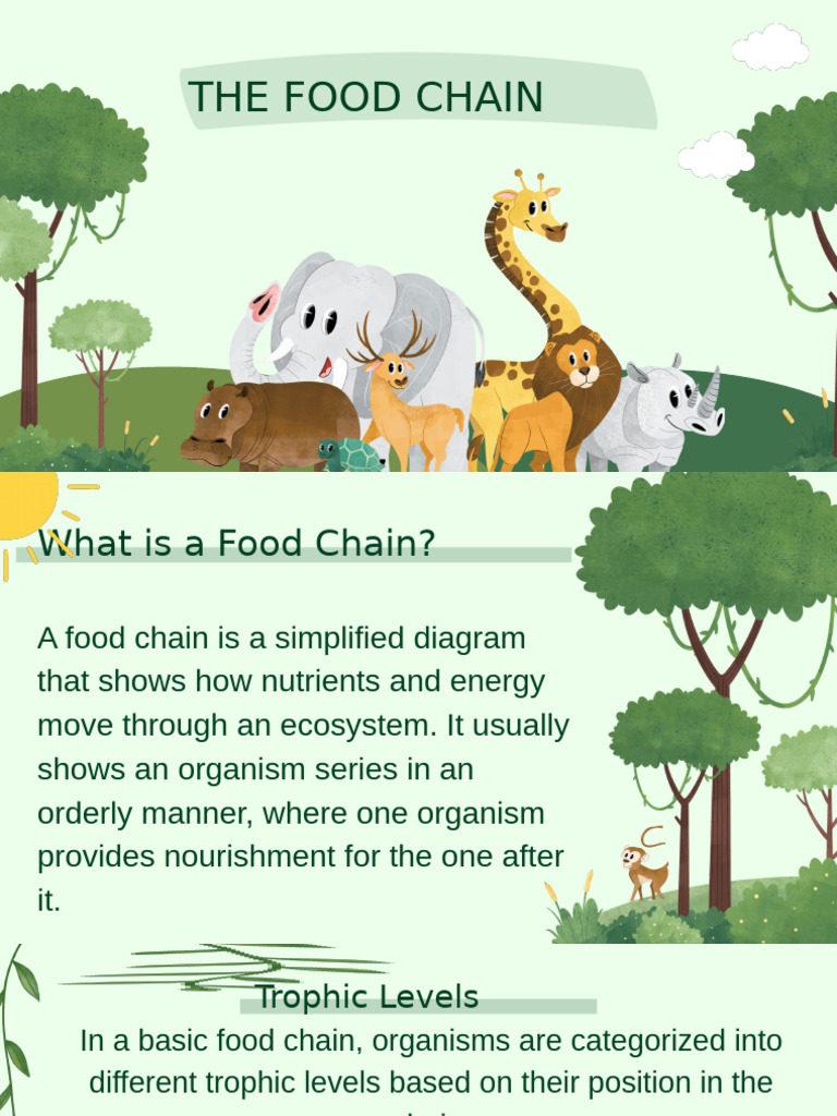 Food Chain Presentation in Light Green Red Illustrative Style | PDF ...