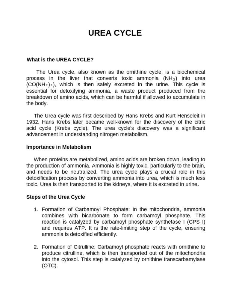 Urea Cycle | PDF | Biochemistry | Chemistry