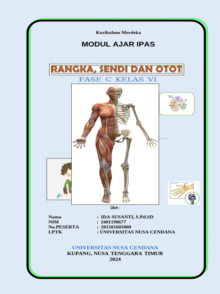 Modul Ajar - IPAS - Fase C Kls 6 - Rangka, Sendi & Otot | PDF