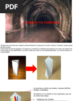 Anatomía y límites del triángulo de Scarpa | PDF | Anatomía del miembro ...
