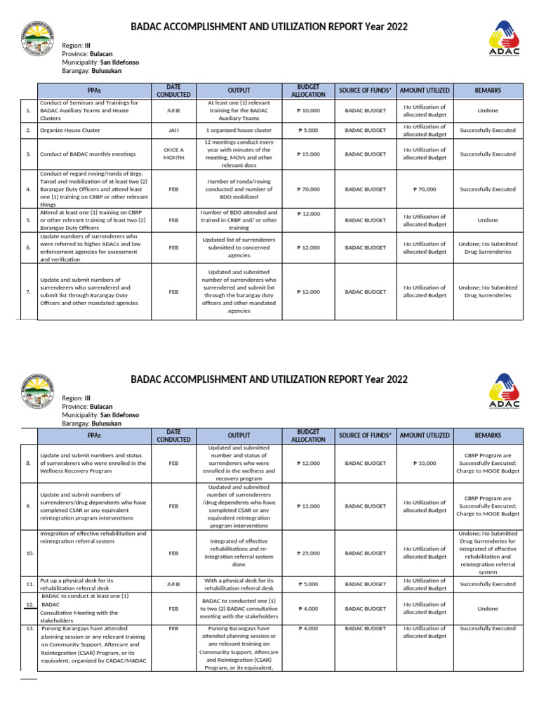 BADAC ACCOMPLISHMENT AND UTILIZATION REPORT Year 2022 | PDF