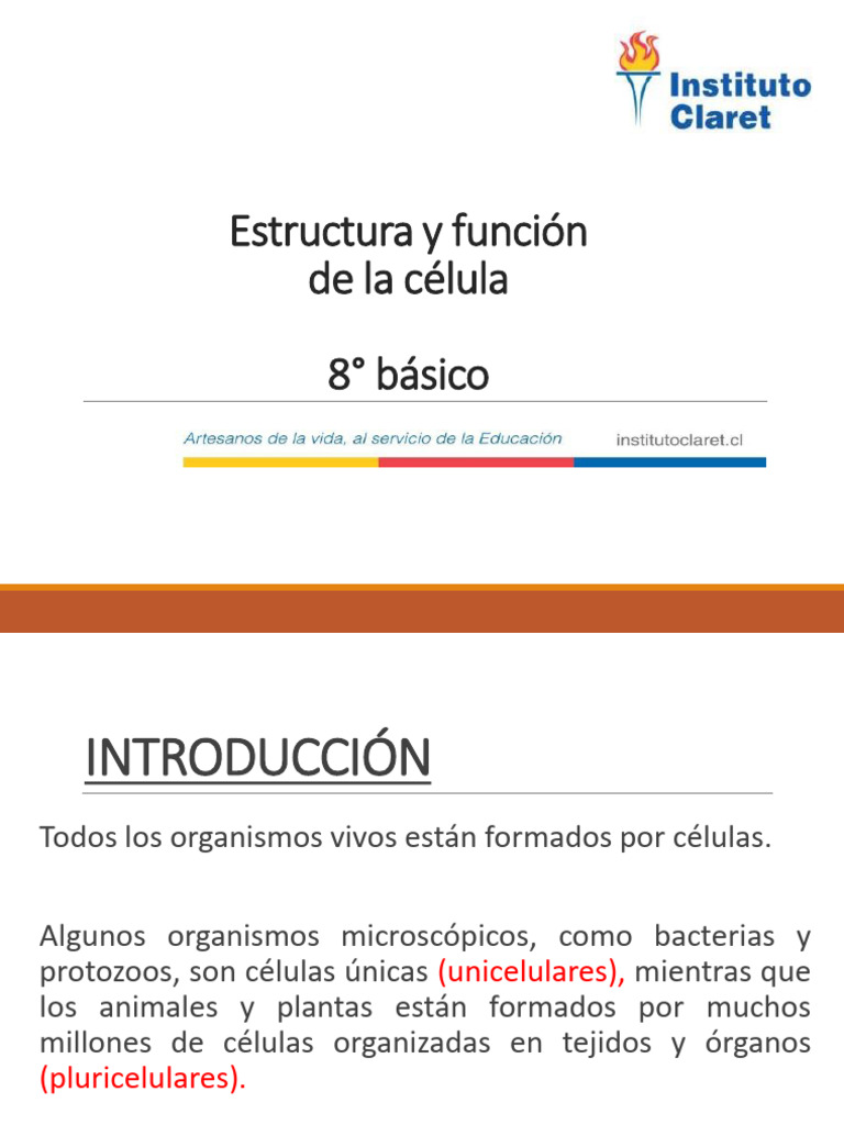 Estructura y Función de la Célula | PDF | Biología Celular) | Organismos
