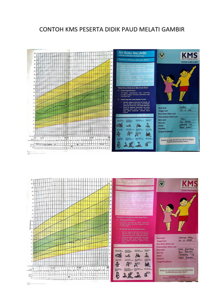 Contoh KMS Peserta Didik Paud Melati Gambir | PDF