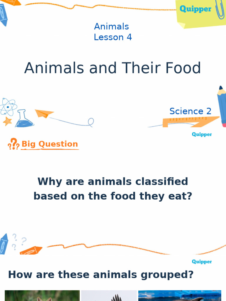 Animal and Their Food | PDF