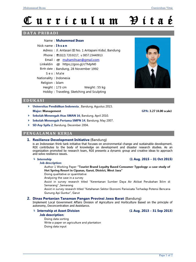 Curriculum Vitaé Muhammad Ihsan | PDF | Art