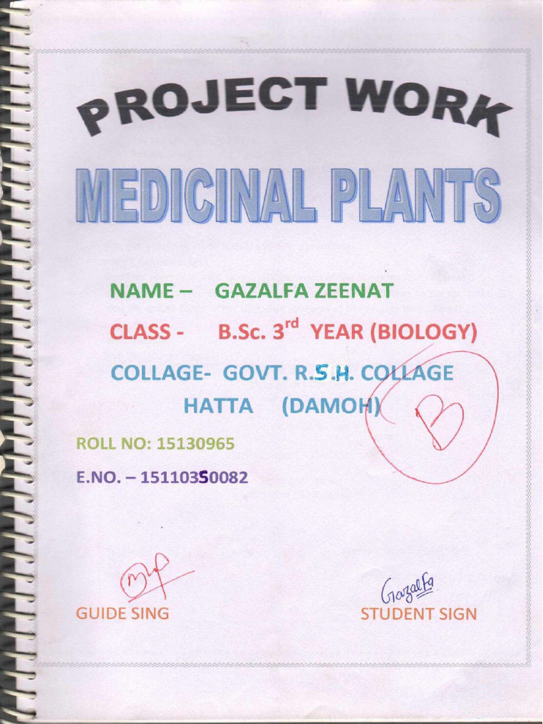 Botany Project Sample (1) - Compressed | PDF