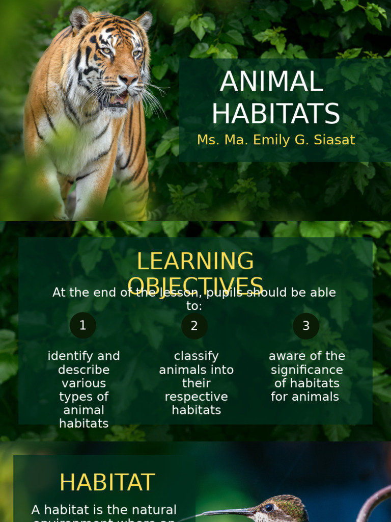 Science 3-Lesson (Habitats of Animals) | PDF