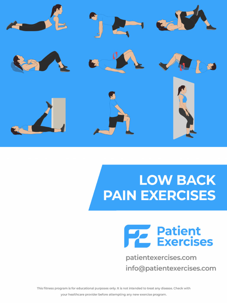 Patient Exercises Low Back Pain Program | PDF