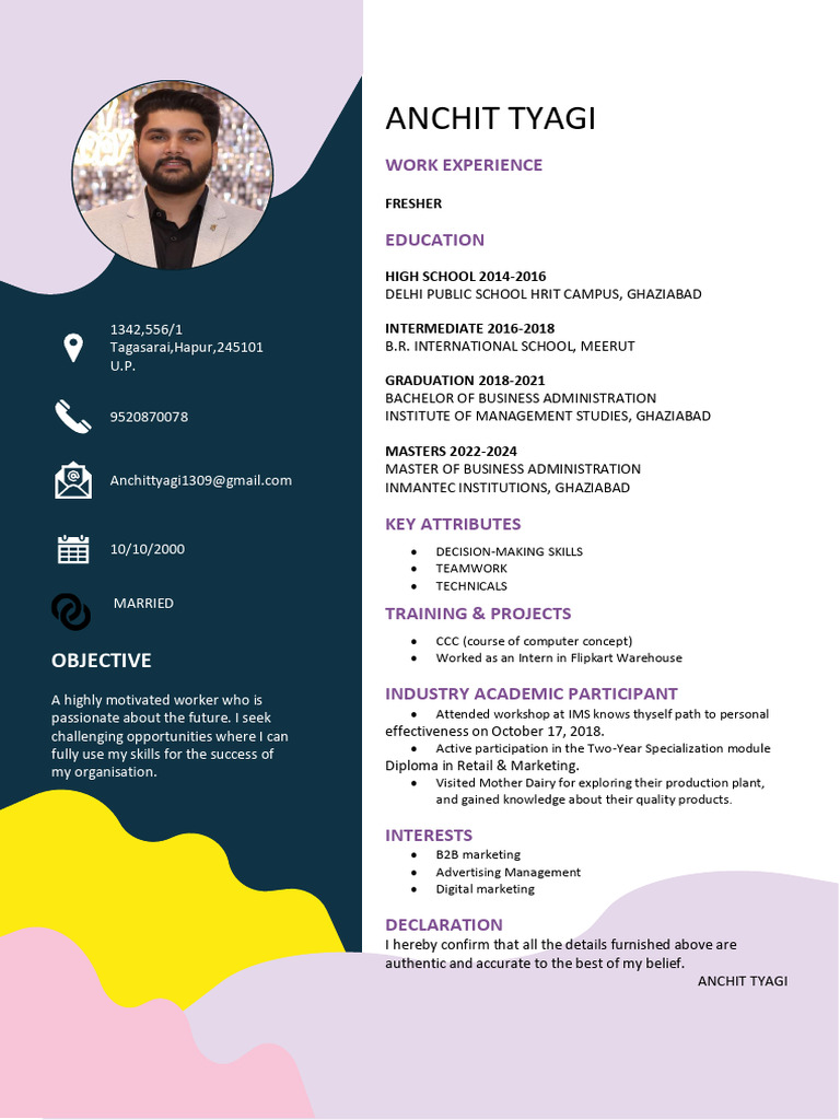 Anchit CV. | PDF | Business