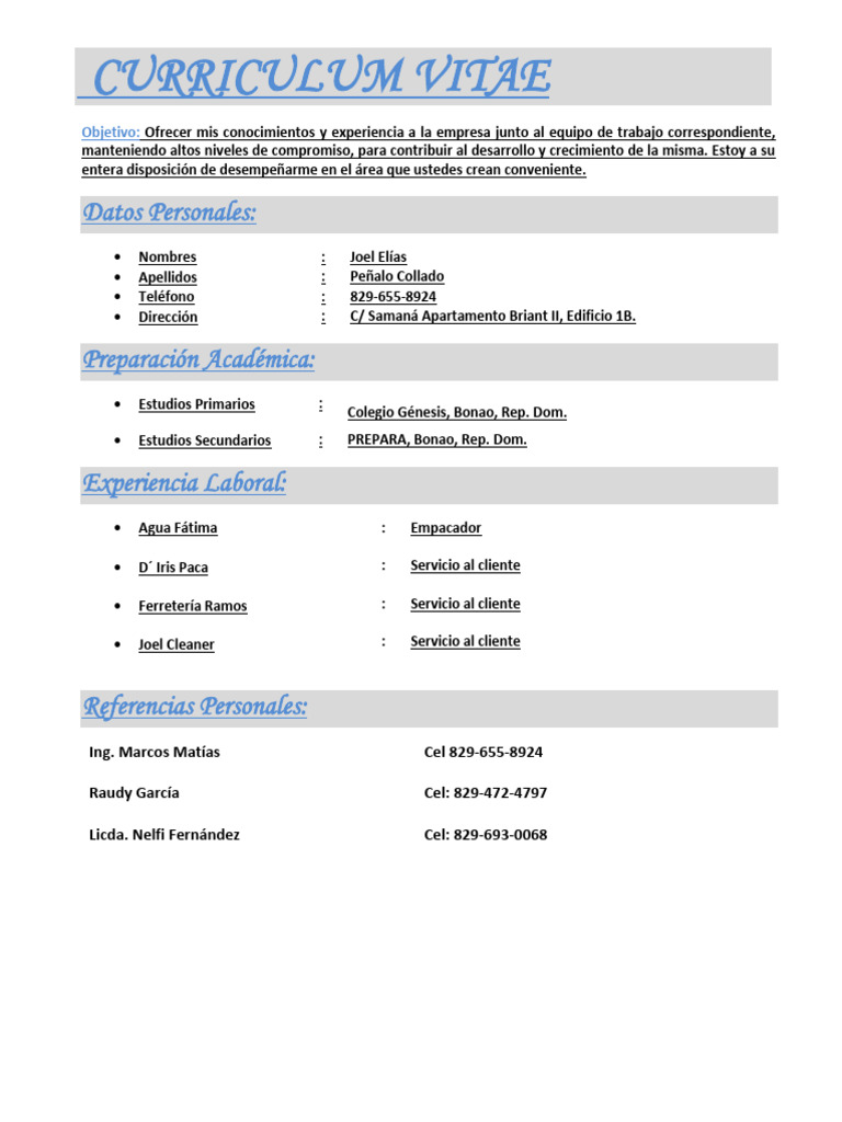 Curriculum Joel | PDF | Crecimiento personal y profesional