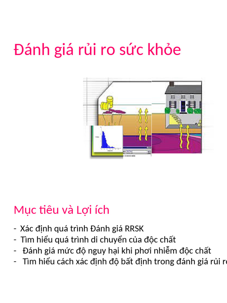 Lecture 5 HRA VNese 2023 | PDF