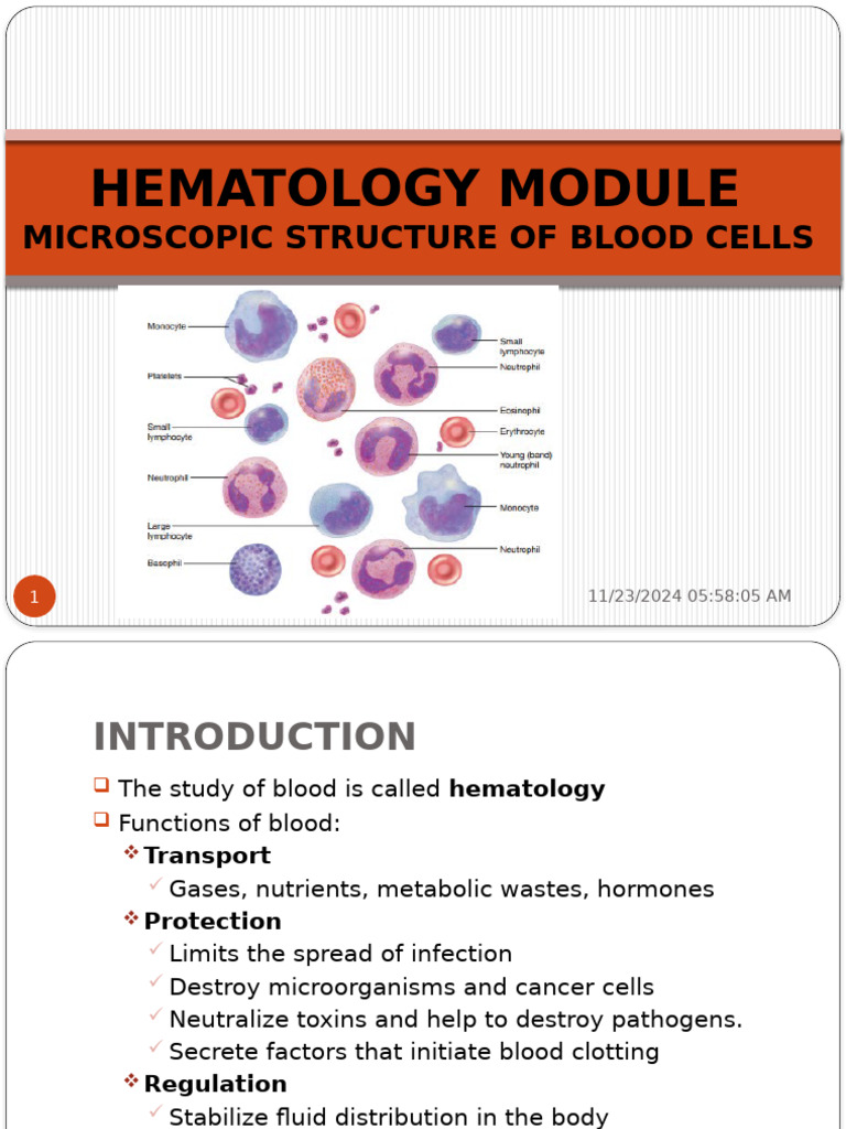 Hematology: Blood Cell Structure | PDF | Granulocyte | White Blood Cell