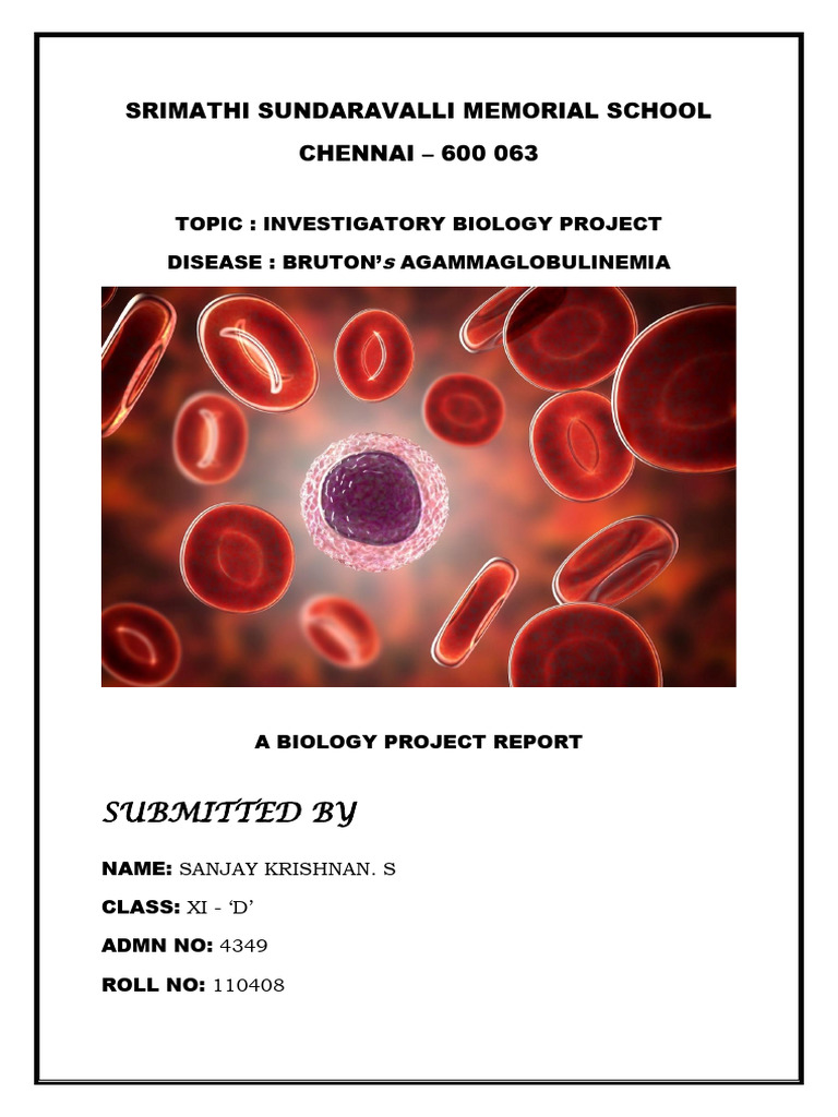 Biology Project: Bruton’s Disease | PDF