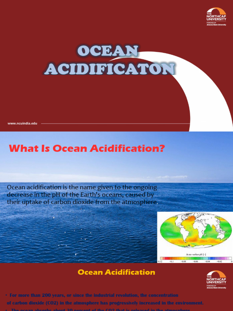 L3 Case Study - Ocean Acidification | PDF | Ocean Acidification | Oceans