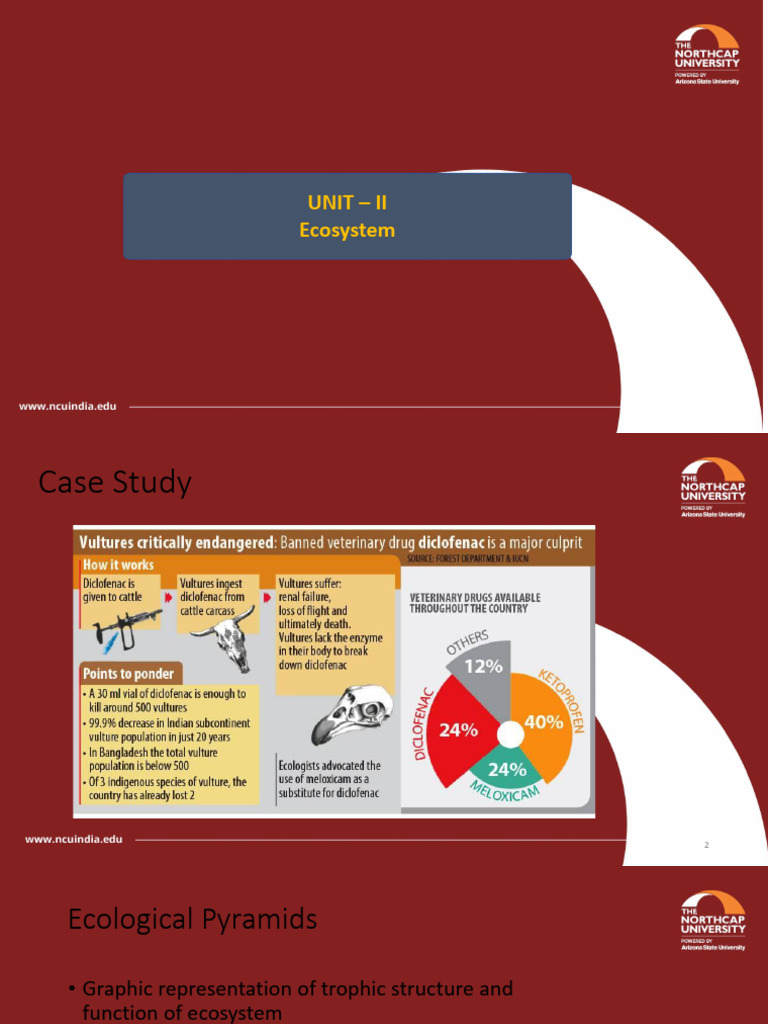 L7 (Case Study, Ecological Pyramid, Energy Flow) | PDF | Primary Production | Food Web