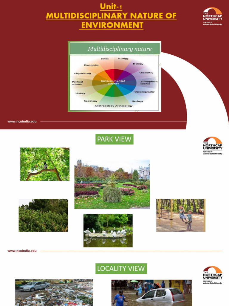 L1 Definition, Scope, Importance | PDF | Conservation Biology | Natural ...