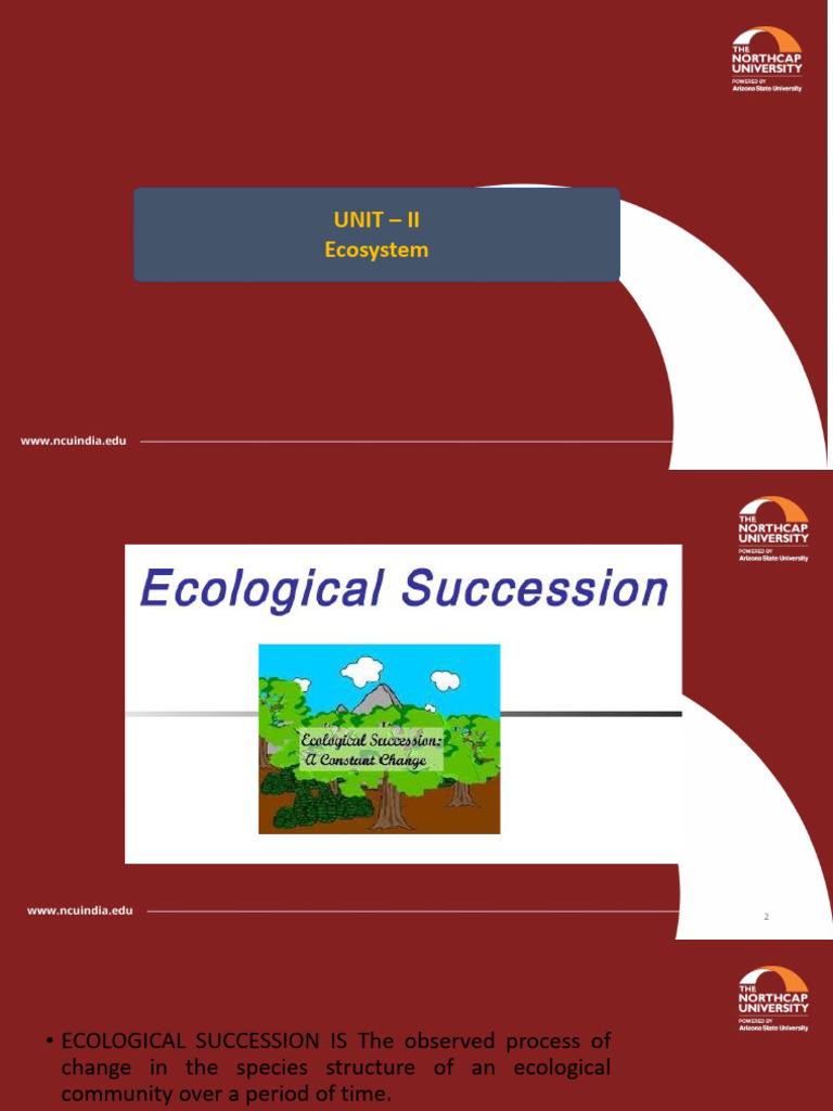 L8 (Ecological Succession) | PDF
