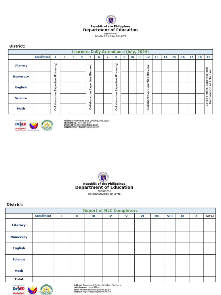 Learners Daily Attendance | PDF | Literacy | Learning