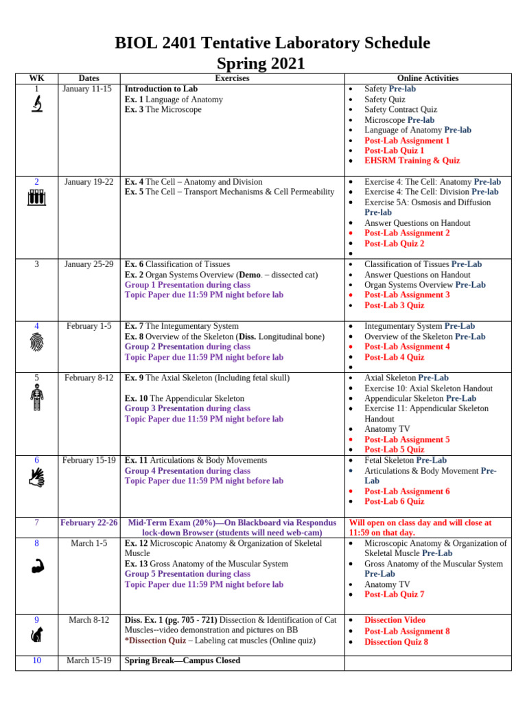 2401 Tentative Schedule Spring 2021 Updated | PDF | Anatomy | Muscle