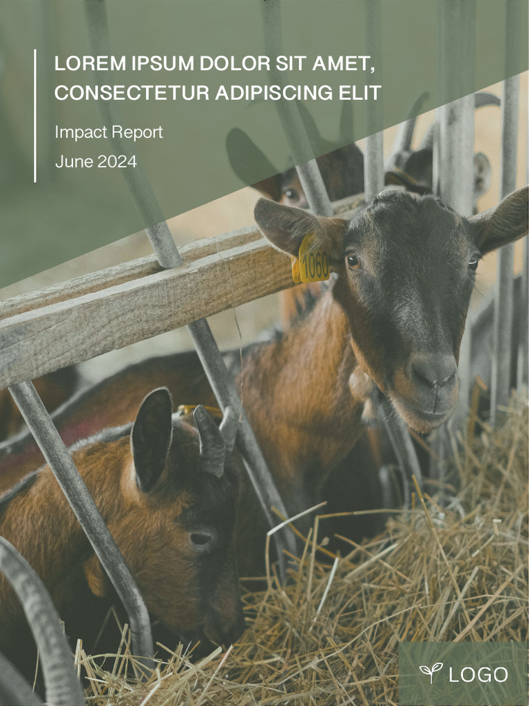 Report Template 2 | PDF