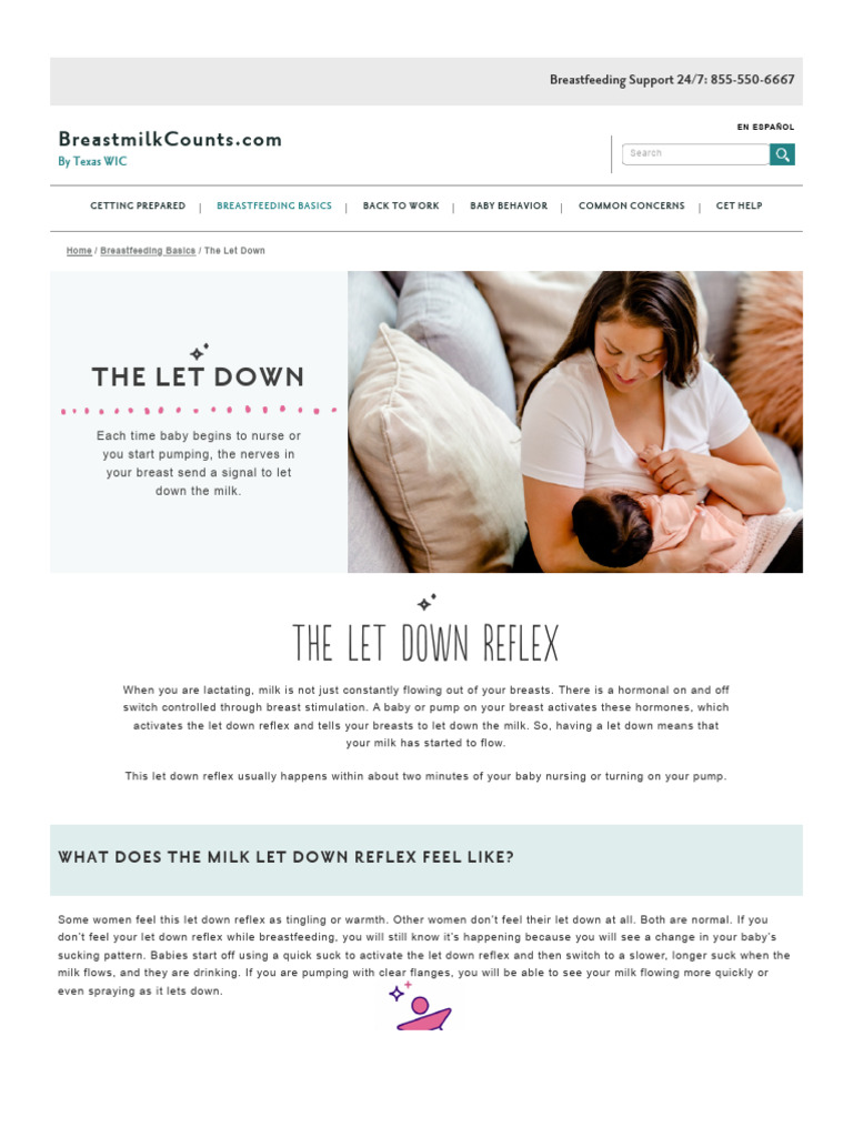 The Let Down - Breastfeeding Basics | PDF | Breastfeeding | Breast Milk