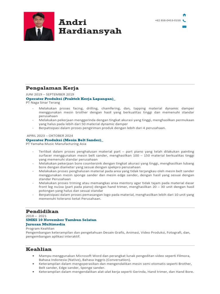 CV Dan File 5 | PDF